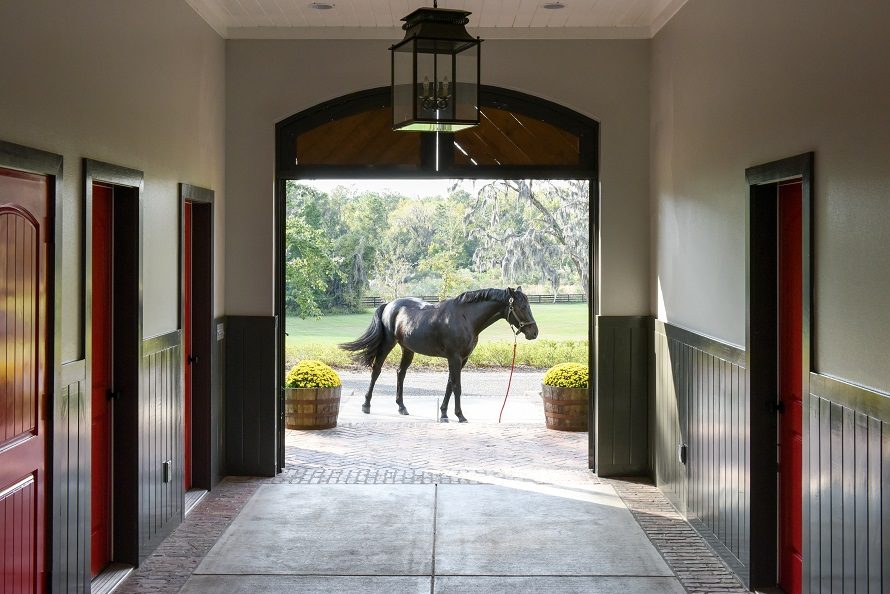Project Name: Equestrian Estate